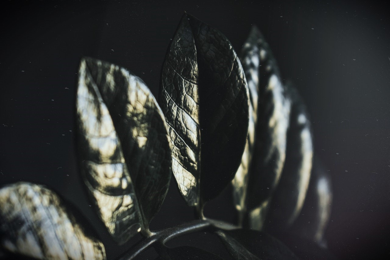 Bevize Luxury Stones | Brazilian Natural Stone Company